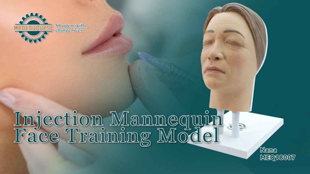 Facial Injection Manikin with Feminine Features – Nana Model - YouTube