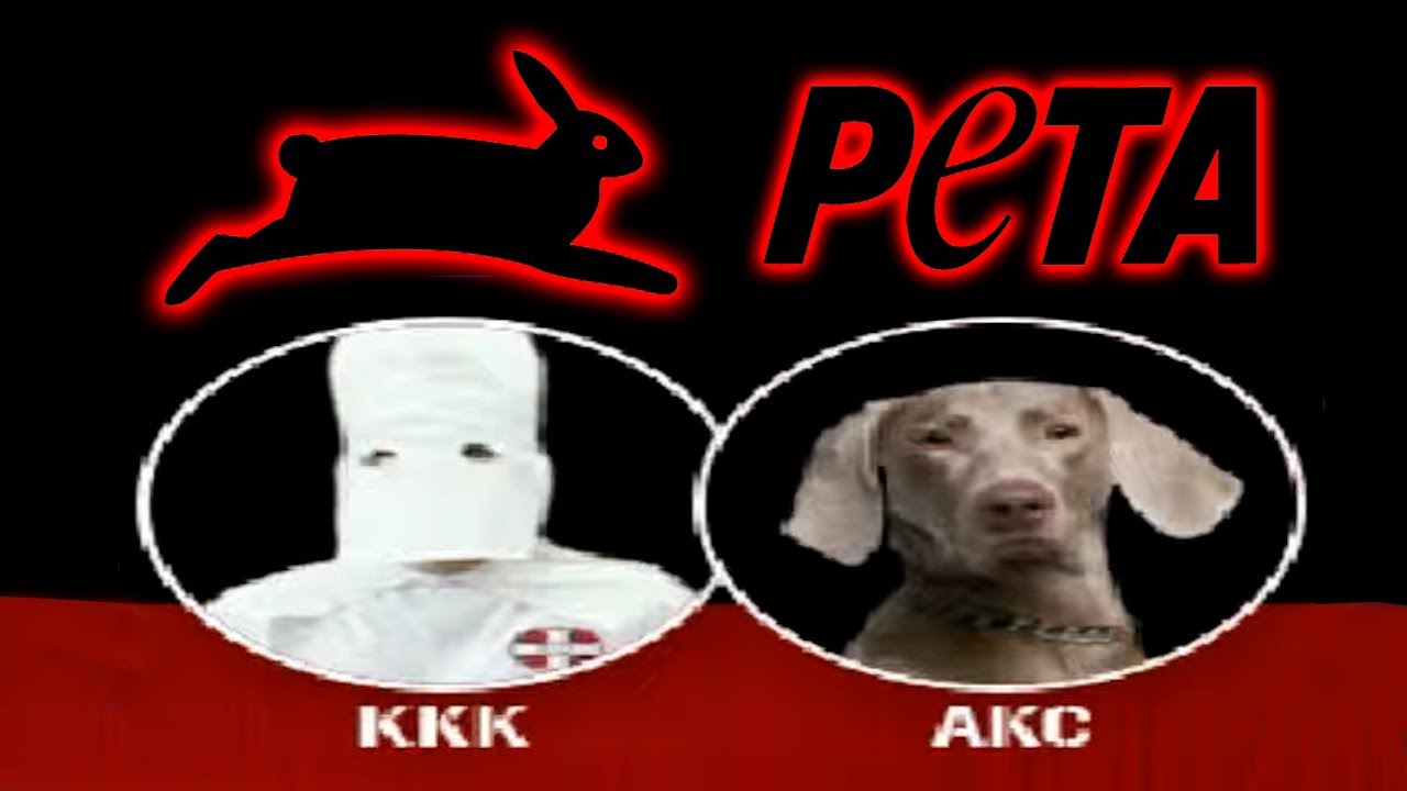 PETA Has Gone Too Far With These Games - YouTube
