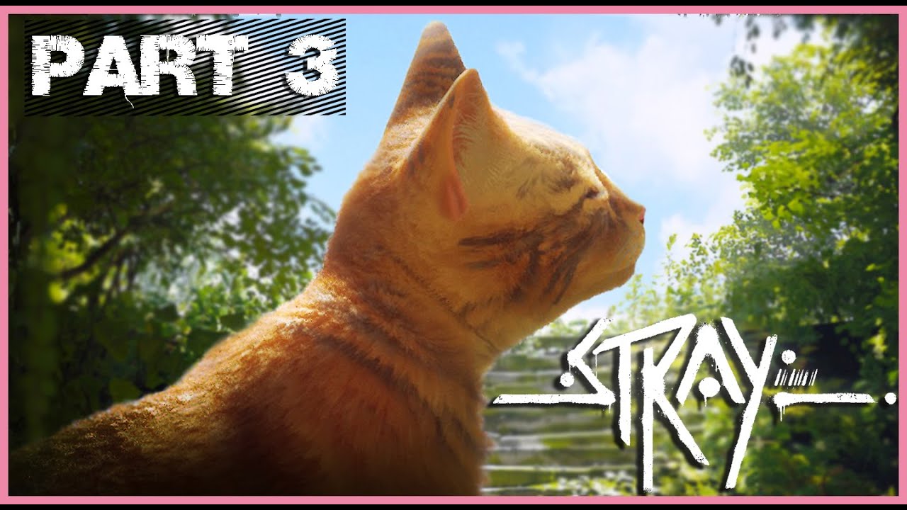 Cat says I LOVE YOU😽| STRAY Ending - No Commentary - YouTube
