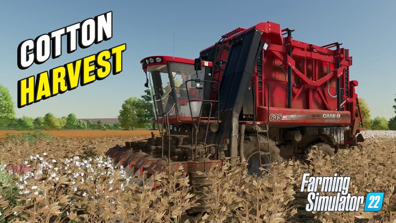 ☁️ Cotton Is Ready For Harvest | Case IH 635 Module Express | FS22 ...