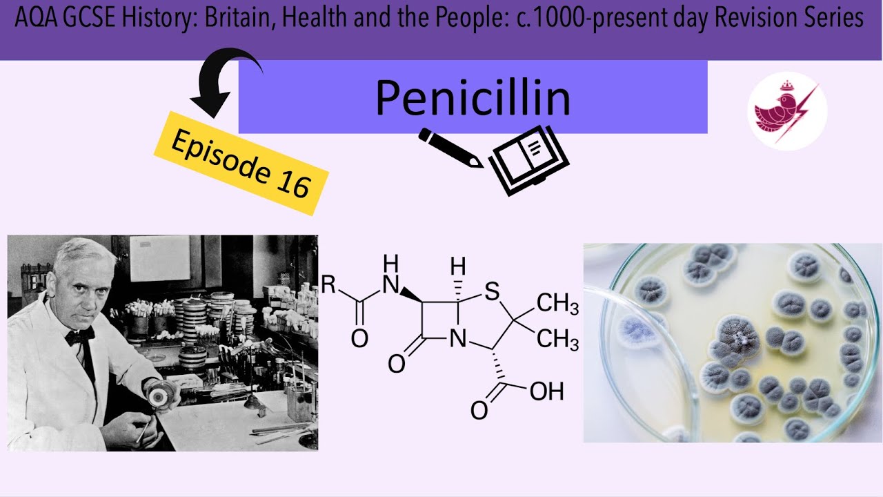 Episode 16- Fleming and Penicillin//AQA GCSE History: Medicine Revision ...