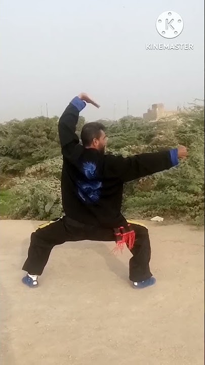 Wu Bu Quan (Five Stance Form) Step by Step - YouTube