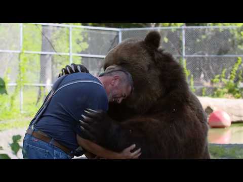 50 Times When Animals Reunited With Owners After Years - A Hug Full of Love
