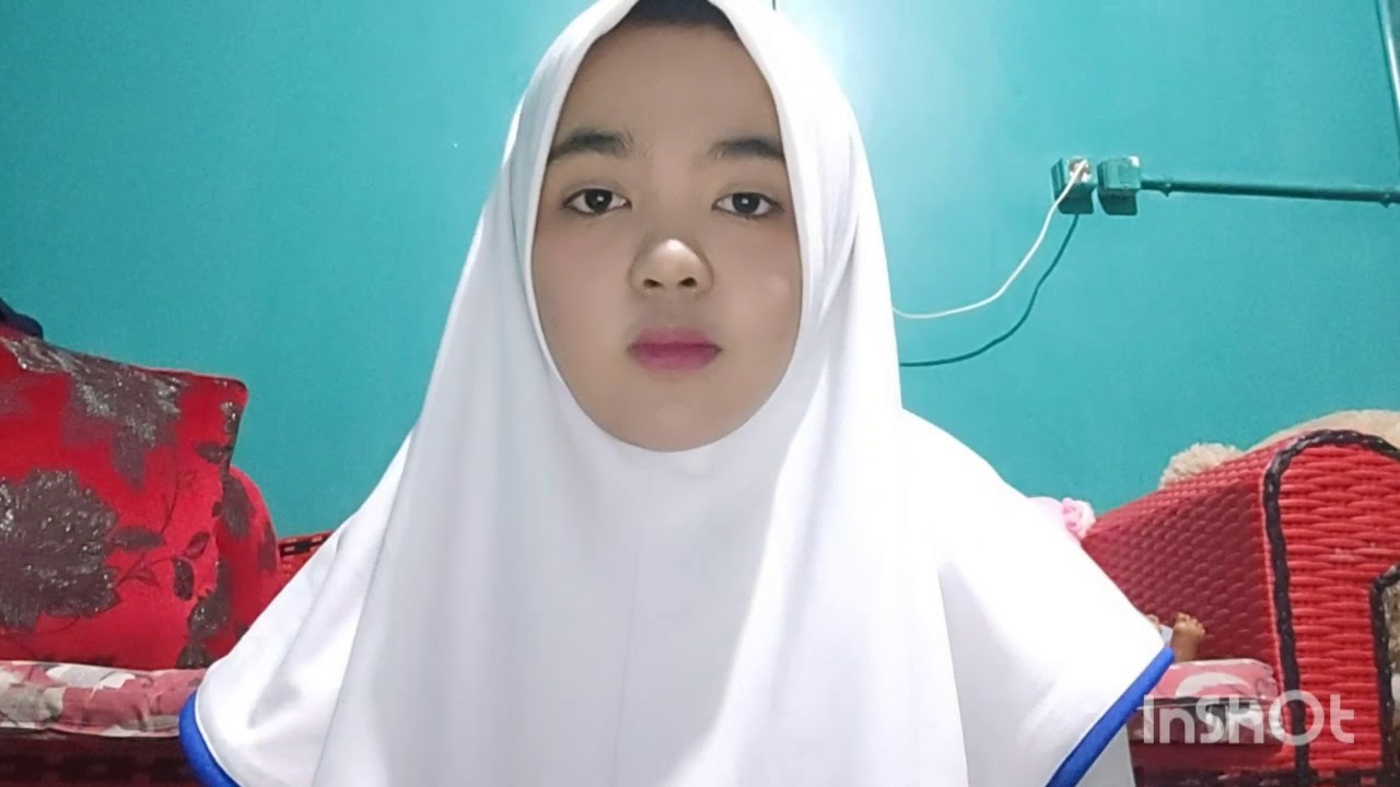 ( Teori Reva Rubin, Teori Ramona Marcer, Teori Ela Joy Lehrman, dan ...