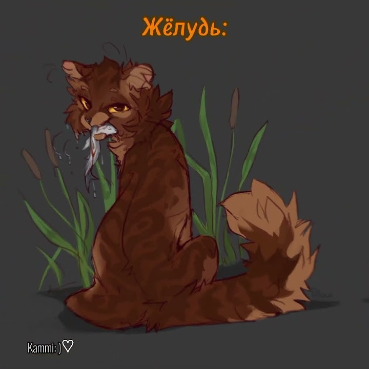 Коты-Воители в реальной жизни/3 часть #глобальныерекомендации # ...