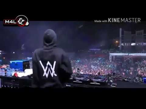 Alan Walker  Hello Hello Performed in VietNam