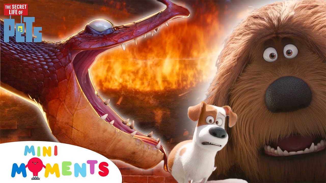 Animal Chase CHAOS!! 🐍🐶😳 | The Secret Life Of Pets | Clip | Mini ...