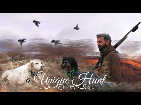 Dağların Kalbinde Av Köpekleriyle Eşsiz Bir Macera