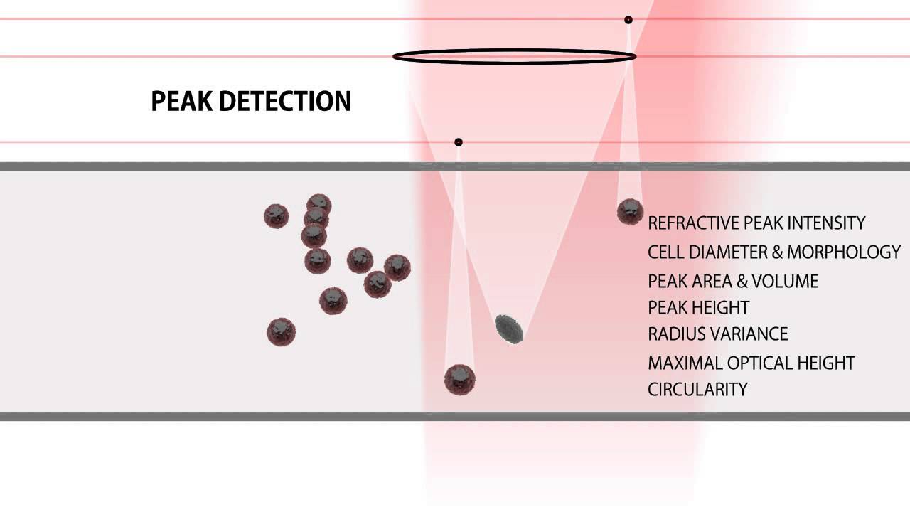 Ovizio Cell Counting - YouTube