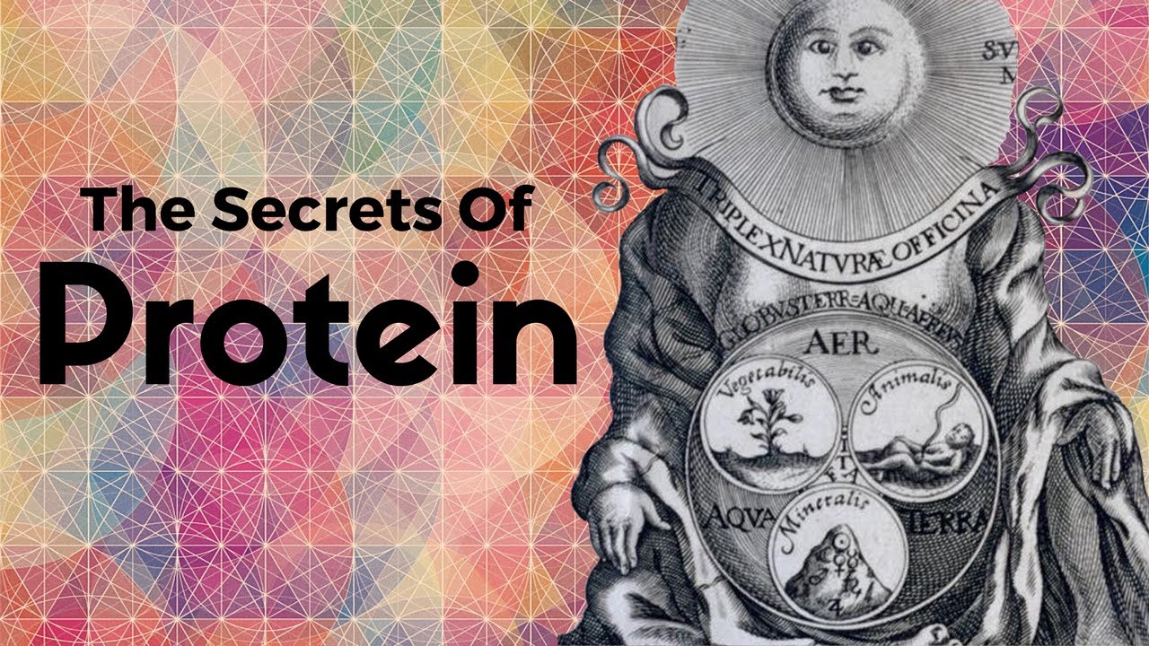 THE SECRETS OF PROTEIN - YouTube