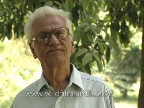 K. R. Malkani, Indian journalist on Ayodhya judgment issue - YouTube