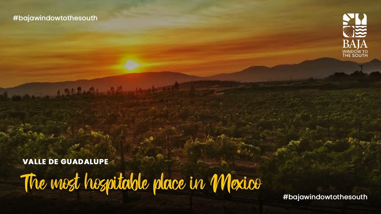 The most hospitable place in Mexico 😲 - YouTube