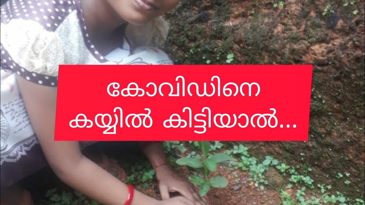 PRATHEEKSHA.. KID'S HUB.. - YouTube