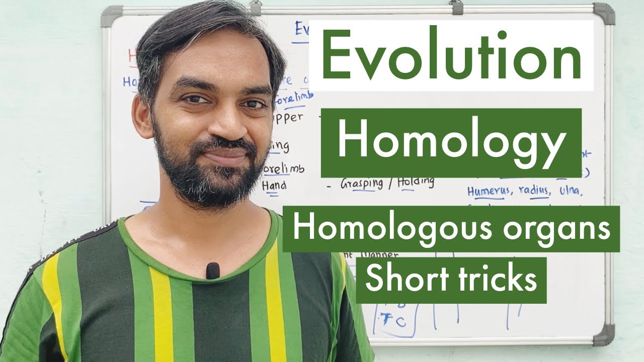 Evolution Class 12 | Homology | Homologous organs | Divergent Evolution ...