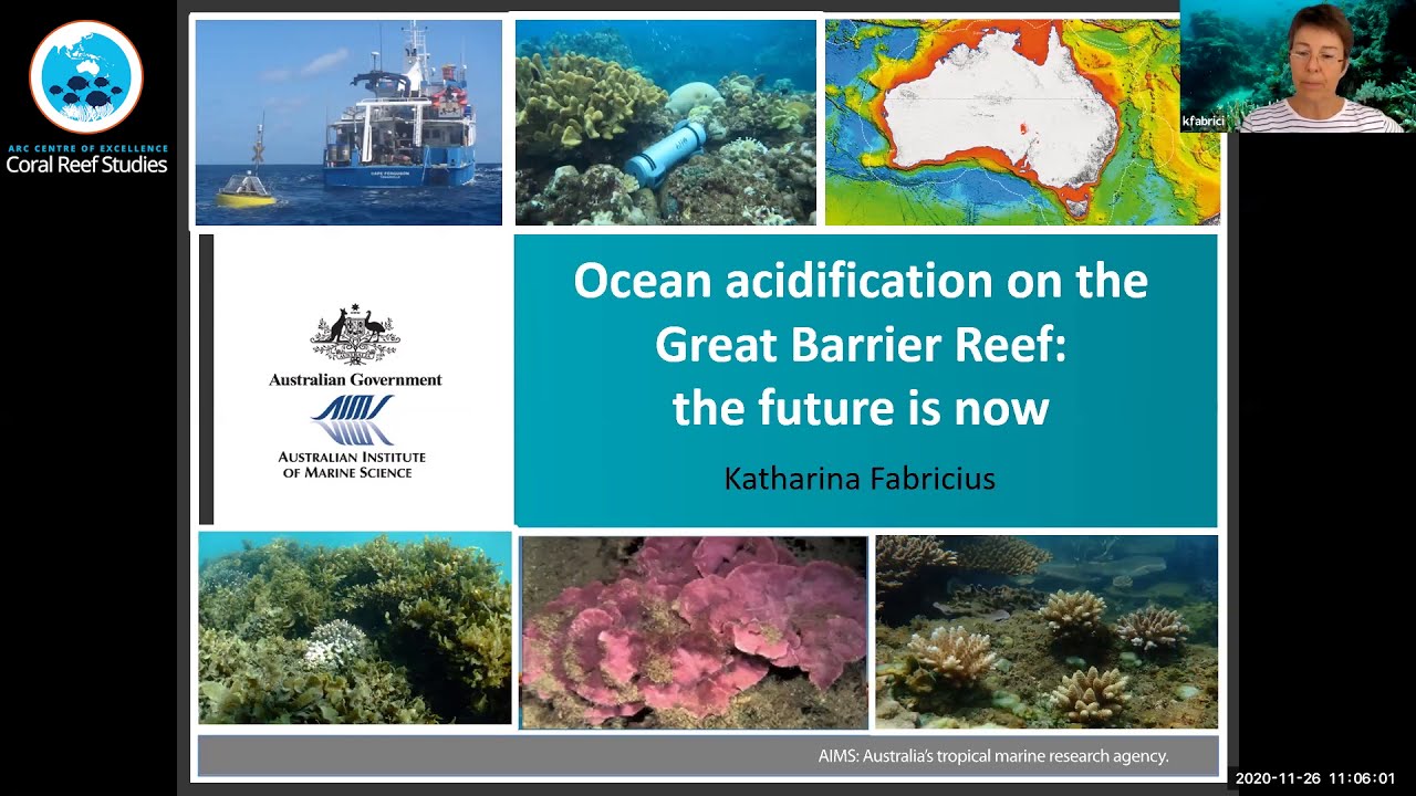 Ocean acidification on the Great Barrier Reef: the future is now- Dr ...