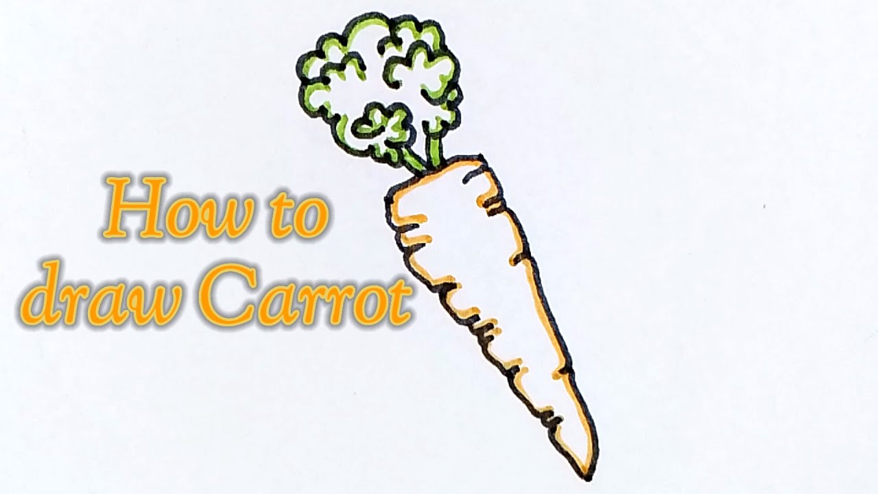 How to draw Carrot | How to draw Carrot with pencil - YouTube