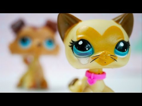Lps (Series) : Don't Love Me | Ep.6 - YouTube