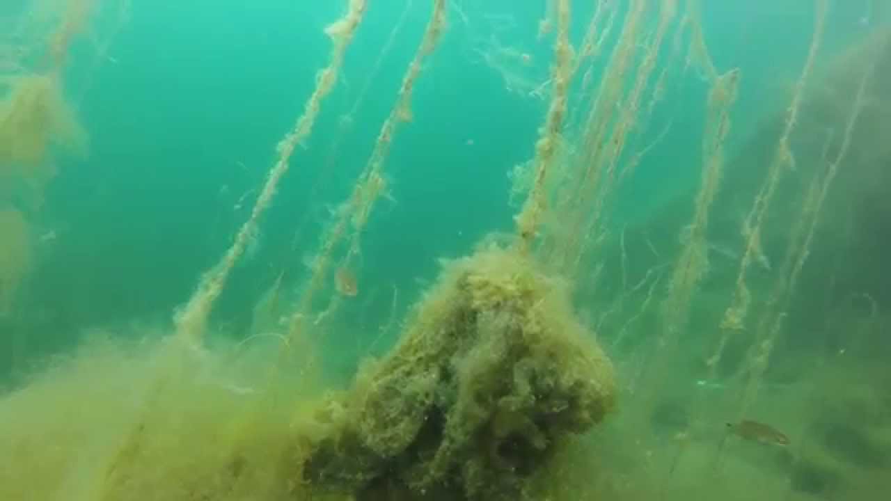 Gopro: Diving with homemade ROV at Ågotnes - YouTube