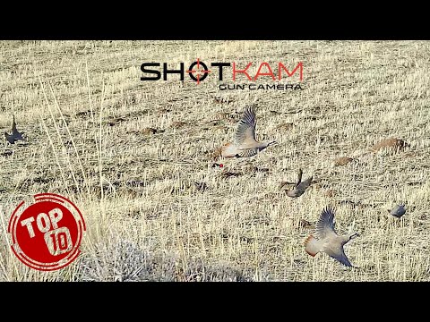 Shotkam Top 10 Keklik Avı Usta Atışlar Harika Görüntüler