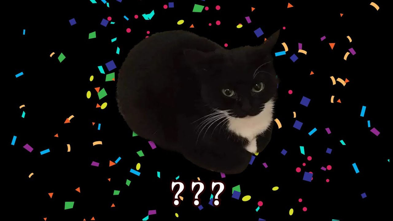5 Funny "Maxwell The Cat" Sound Variations - YouTube