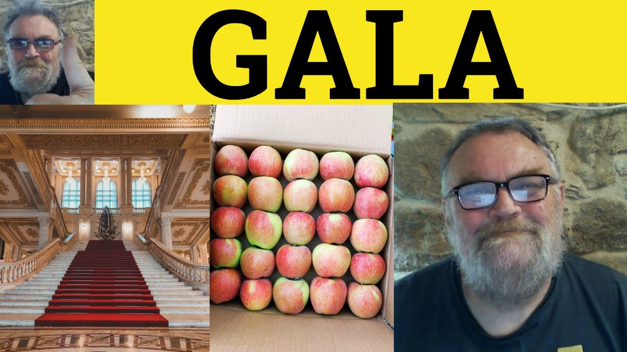 Gala Meaning Gala Definition Gala Examples GRE Nouns Gala gala-meaning-gala-definition-gala-examples-gre-nouns-gala