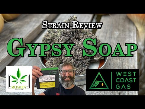 Strain Review - Gypsy Soap (LSO) - West Coast Gas - Licensed Micro ...