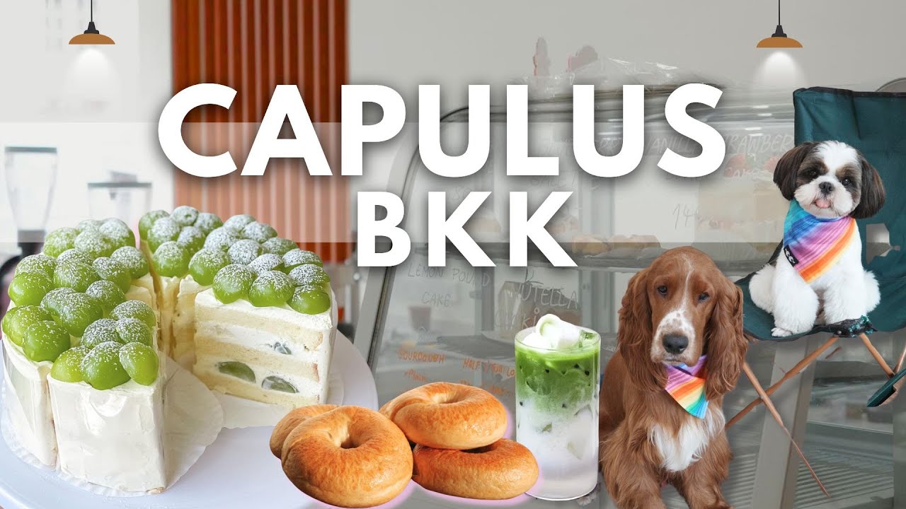 คาเฟ่ลับ ต้อนรับน้องหมา CAPULUS BKK l Jerhigh Check in - YouTube