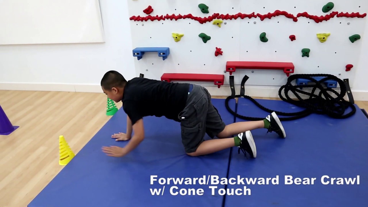 Bear Crawl Variations - YouTube