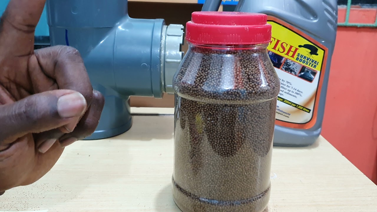 FEEDS & MEDICATION For Catfish FINGERLINGS[Day 1-52]🛑 LED Device ...