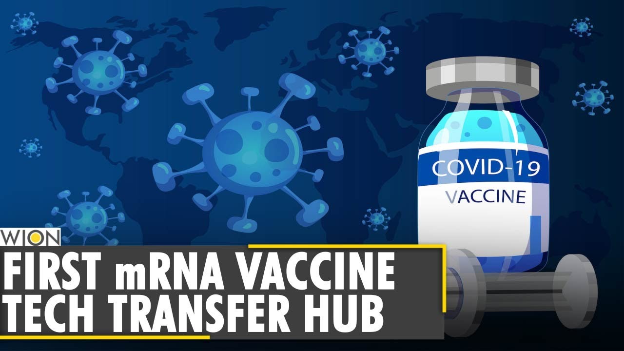 WHO supports South African consortium to establish first mRNA vaccine tech transfer hub | COVID ...