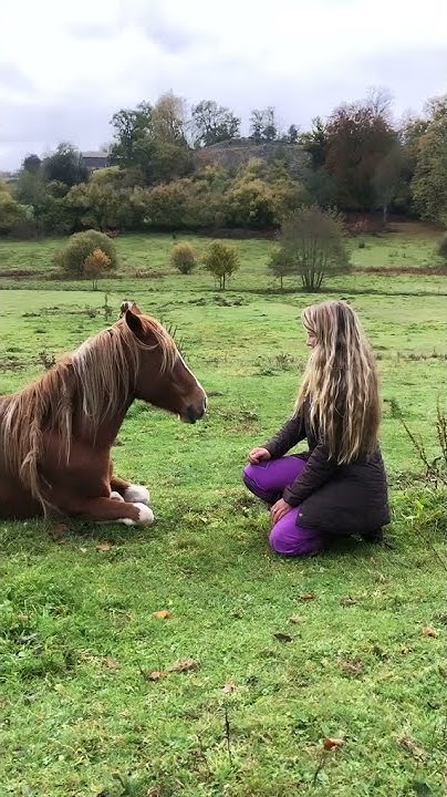 Women horse riding | beautiful horse | horse lover | horse riding ...