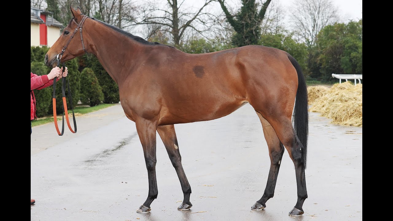 AdAstra 12 23 - YouTube