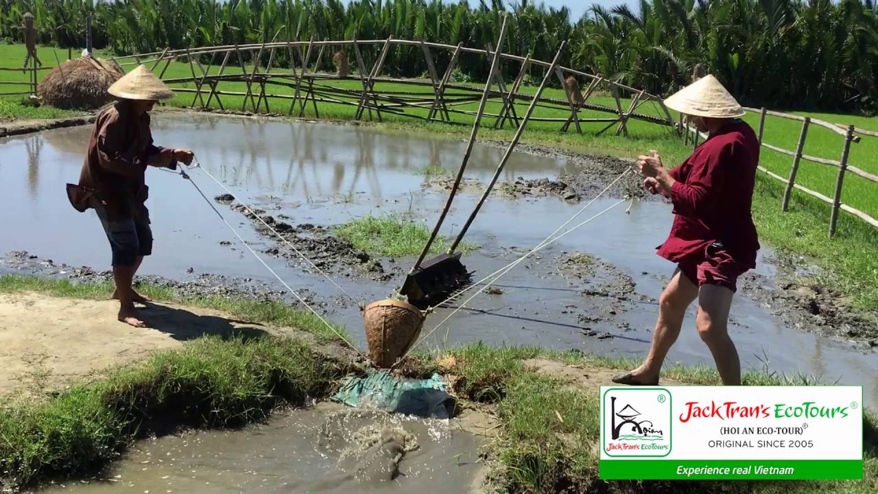 RICE FARM SCOOPING WATER - YouTube