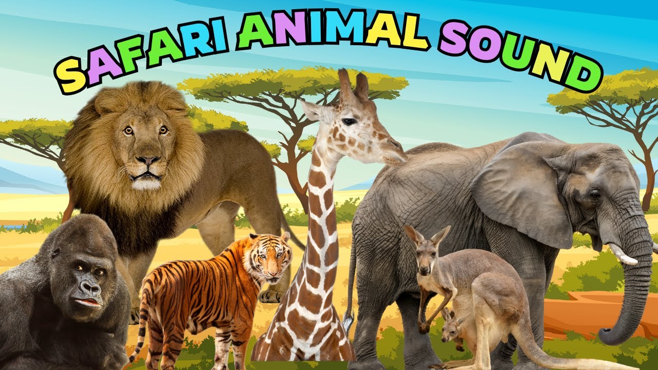 Safari Animal Sounds Song MO317 | Learn Animal Names and Sounds for ...