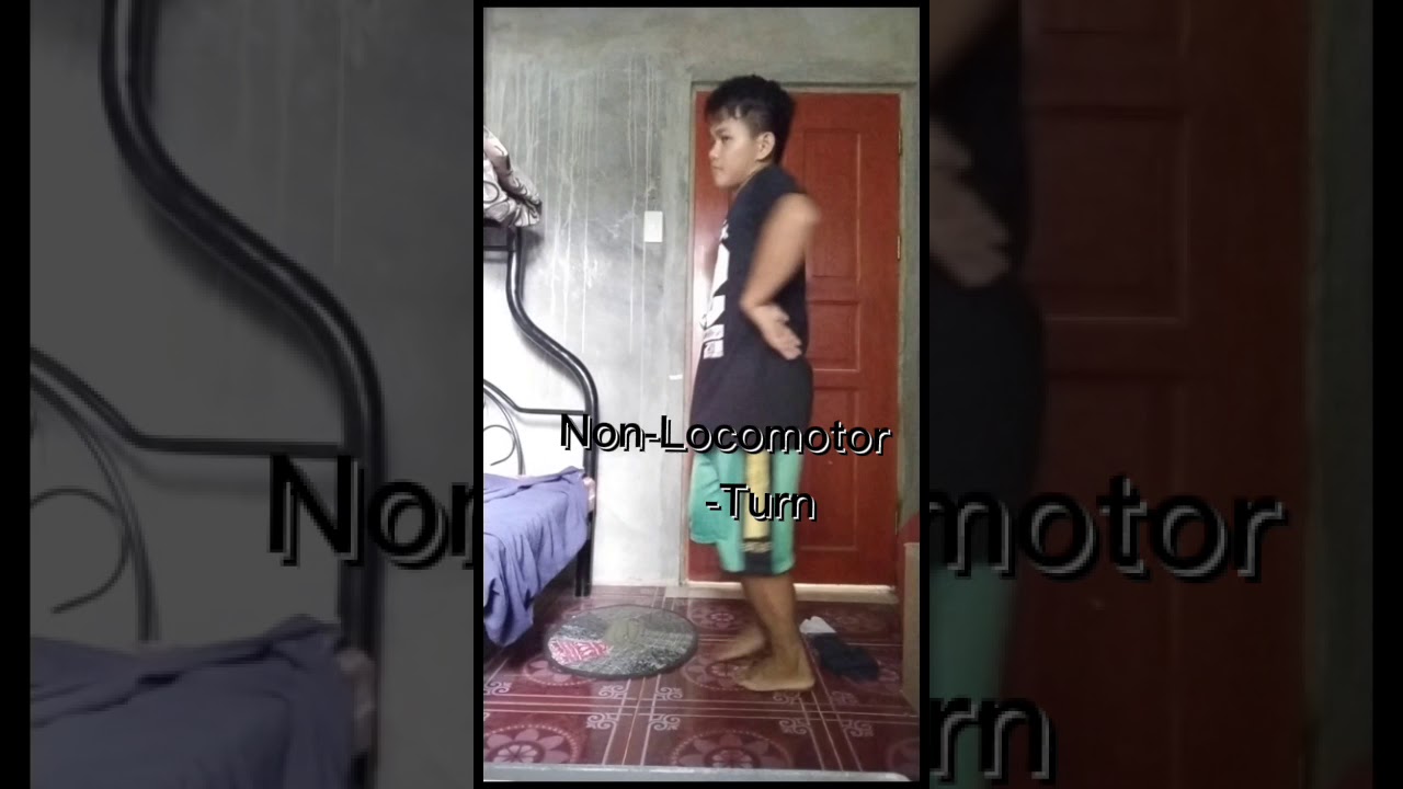 Non-Locomotor and Locomotor movement with dynamic stretch exercise ...