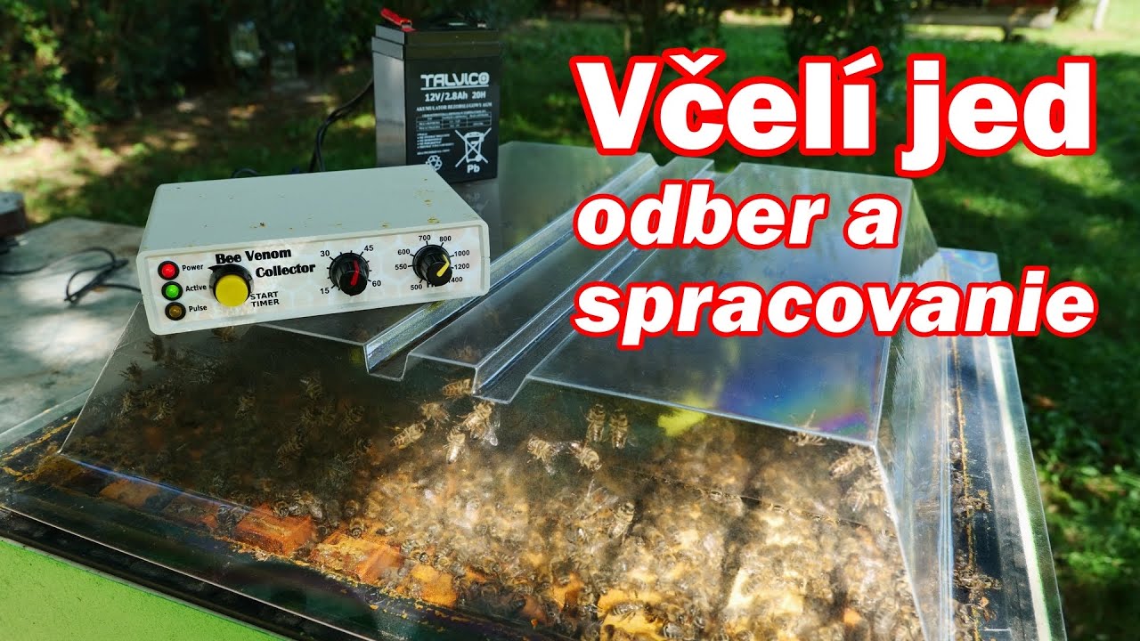 208. Včelí jed - zber a spracovanie - YouTube