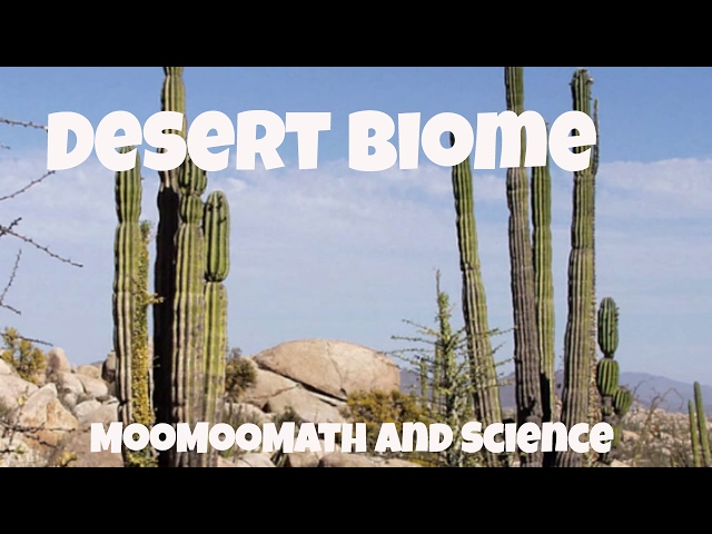Desert Biome Plants