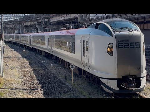 【E259系Ne003編成 OM入場回送（装置保全）】E259系ｸﾗNe003編成が回送電車として大宮駅13番線に到着するシーン（回8895M）2025.4.30 - YouTube