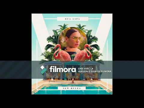 Cover New Rules-Dua Lipa-Flute