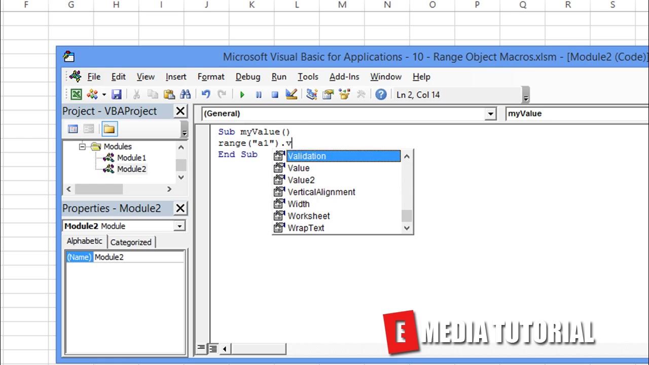 Microsoft Excel Visual Basic for Aplications VBA Tutorial 10 VALUE Property E Media TUTORIAL ...