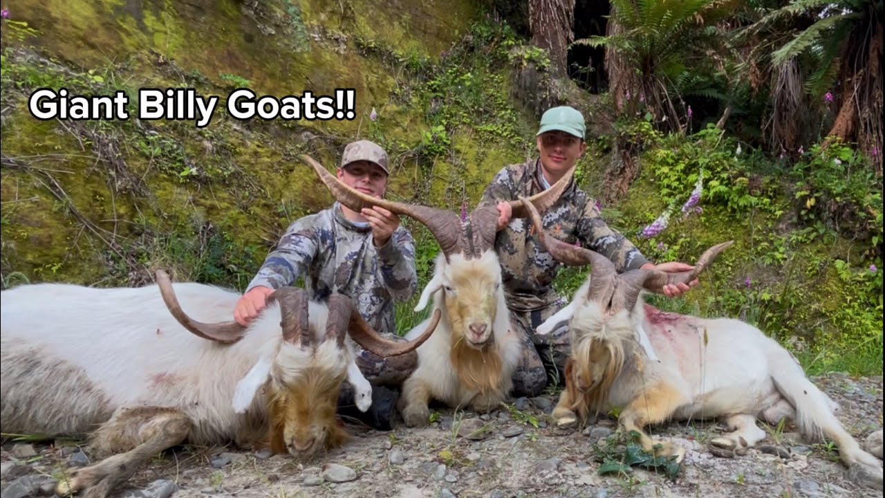 Hunting Big Billy Goats With a Bow and Rifle! - YouTube