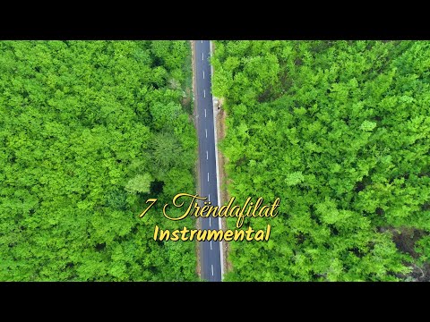 7 Trendafilat -Instrumental 2022 / Super Melodi  (Official Video 4K )