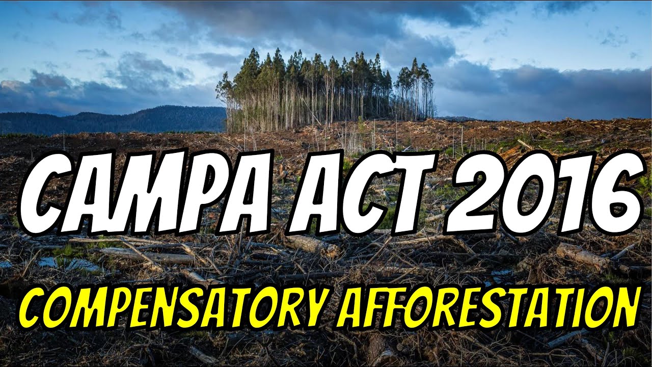 Compensatory Afforestation CAMPA Act 2016 | Key Features & Significance ...