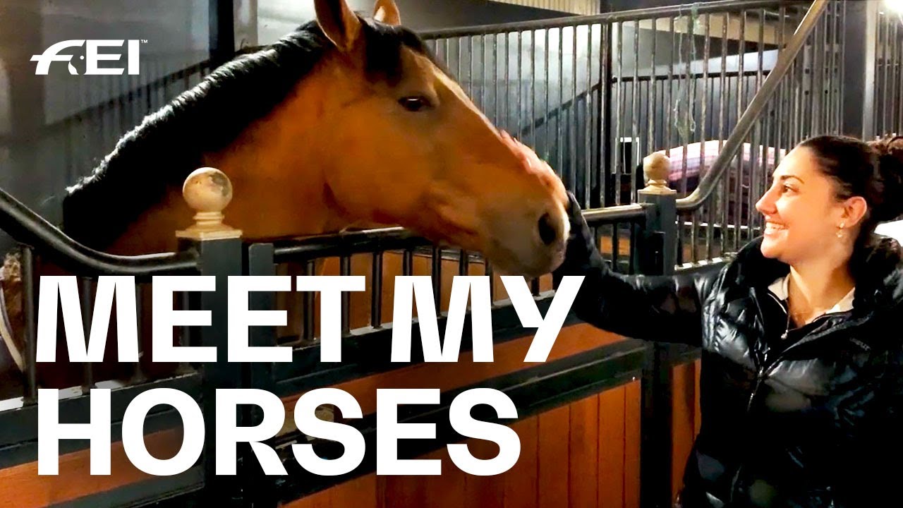 Dressage Trainer Natasha Althoff: My Horses, my Story & how to improve ...