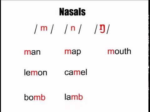 nasals 3 :phonetics course - YouTube