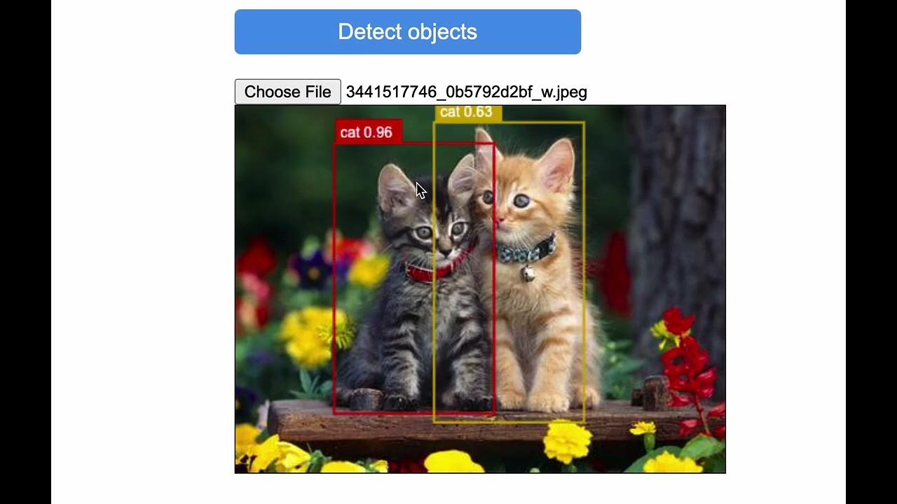 Tensorflowjs And Javascript Image Recognition With Cocco Ssd Youtube