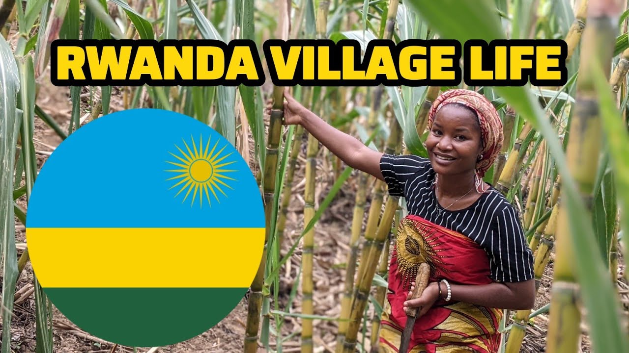 African village daily routine/typical village life in Rwanda 🇷🇼 - YouTube