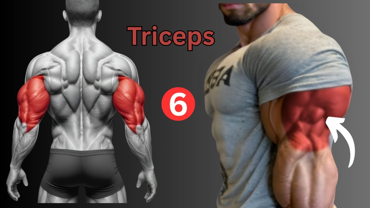 6 BIG Triceps Exercises To Get RIPPED In 30 Days - YouTube