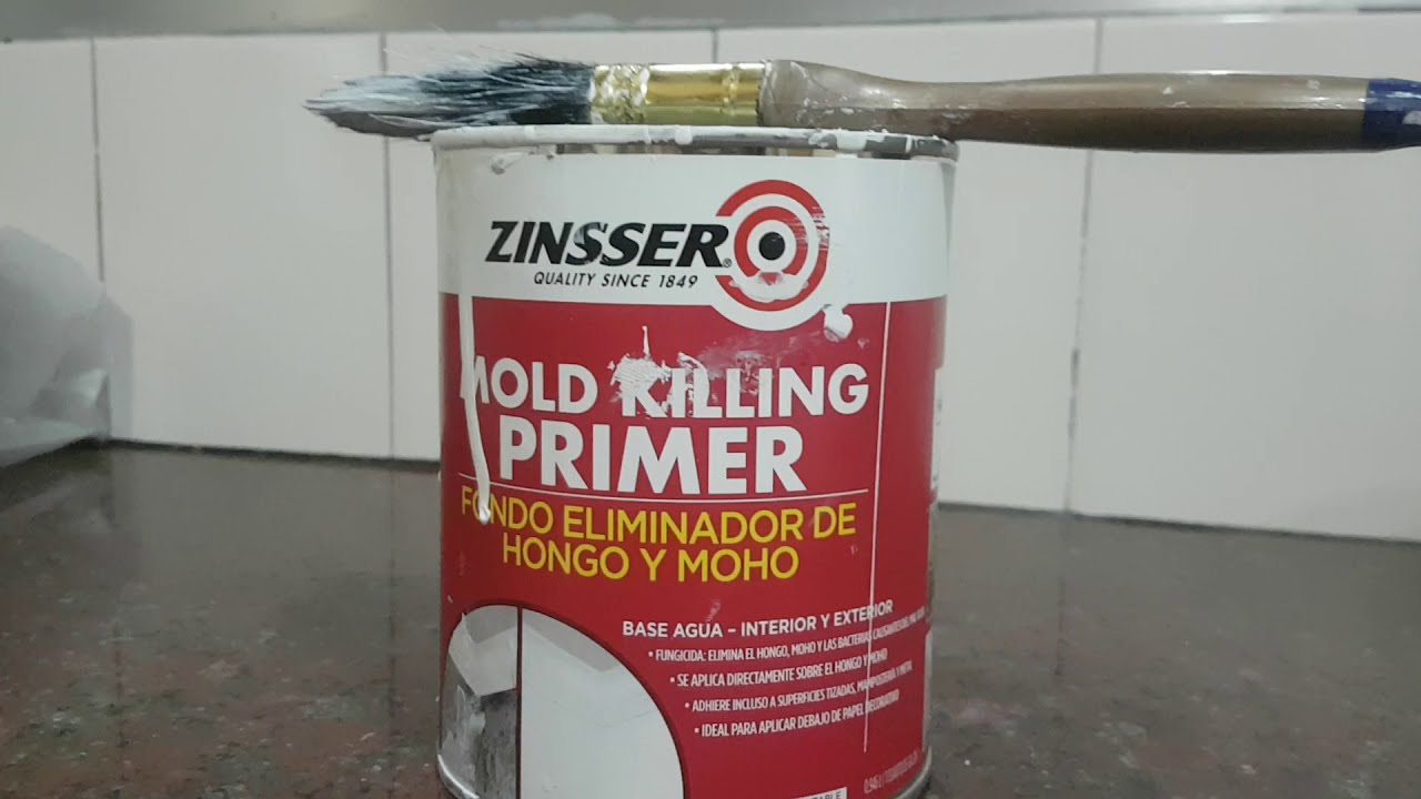 PINTURA PARA DESHACERTE DE LOS HONGOS DE TECHOS Y PAREDES - YouTube