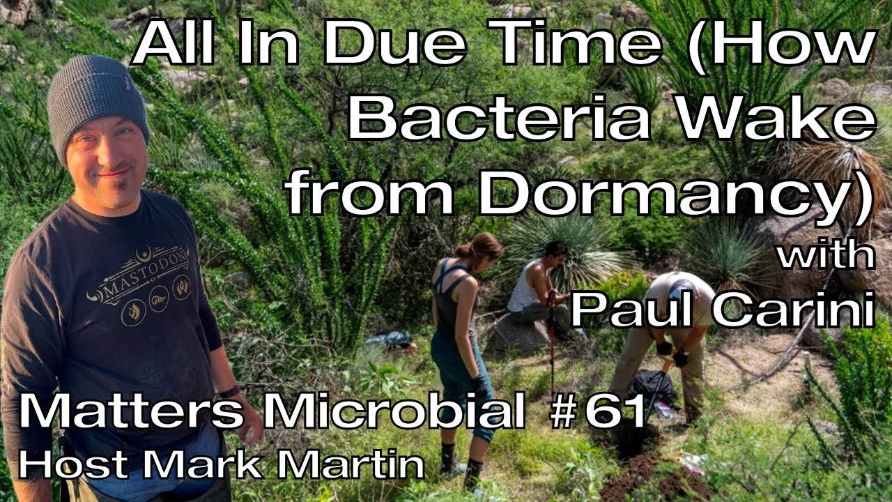 Matters Microbial #61: All In Due Time–How Bacteria Wake from Dormancy ...